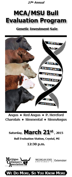 MSU/MCA Bull Evaluation Program Sale Catalog