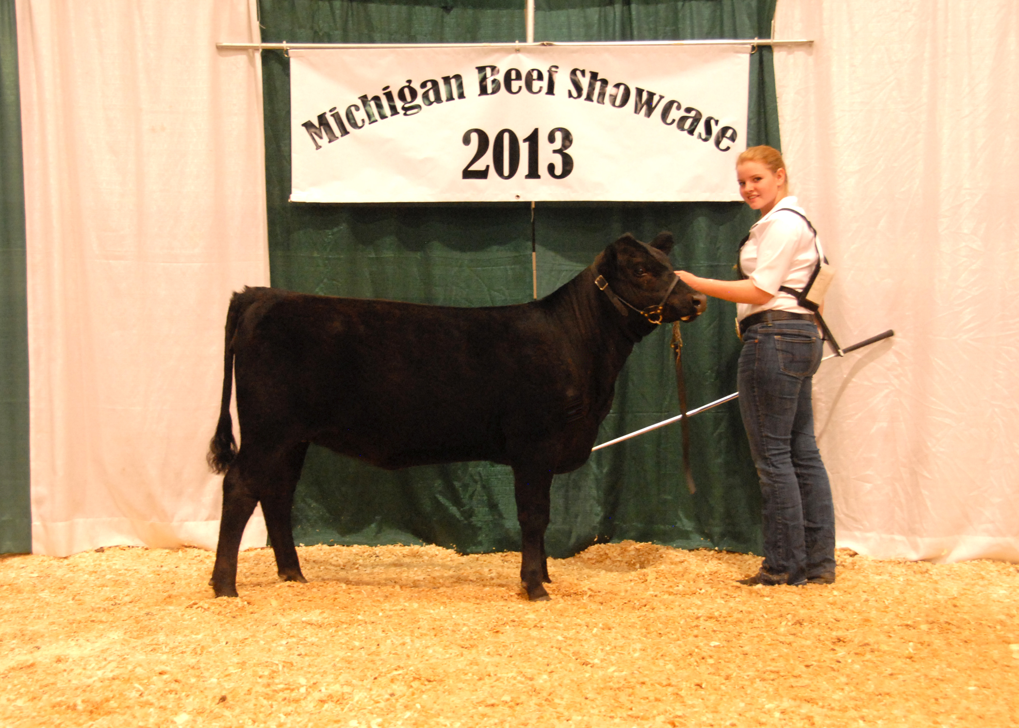 2013 Michigan Angus Association Junior Preview Show