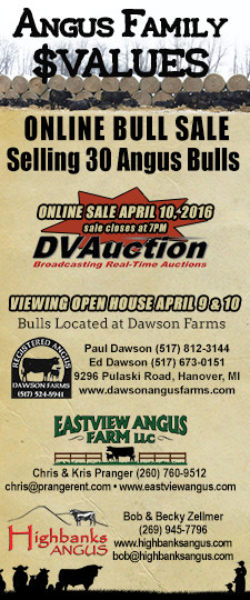 Angus Family Values Online Bull Sale - Michigan Angus